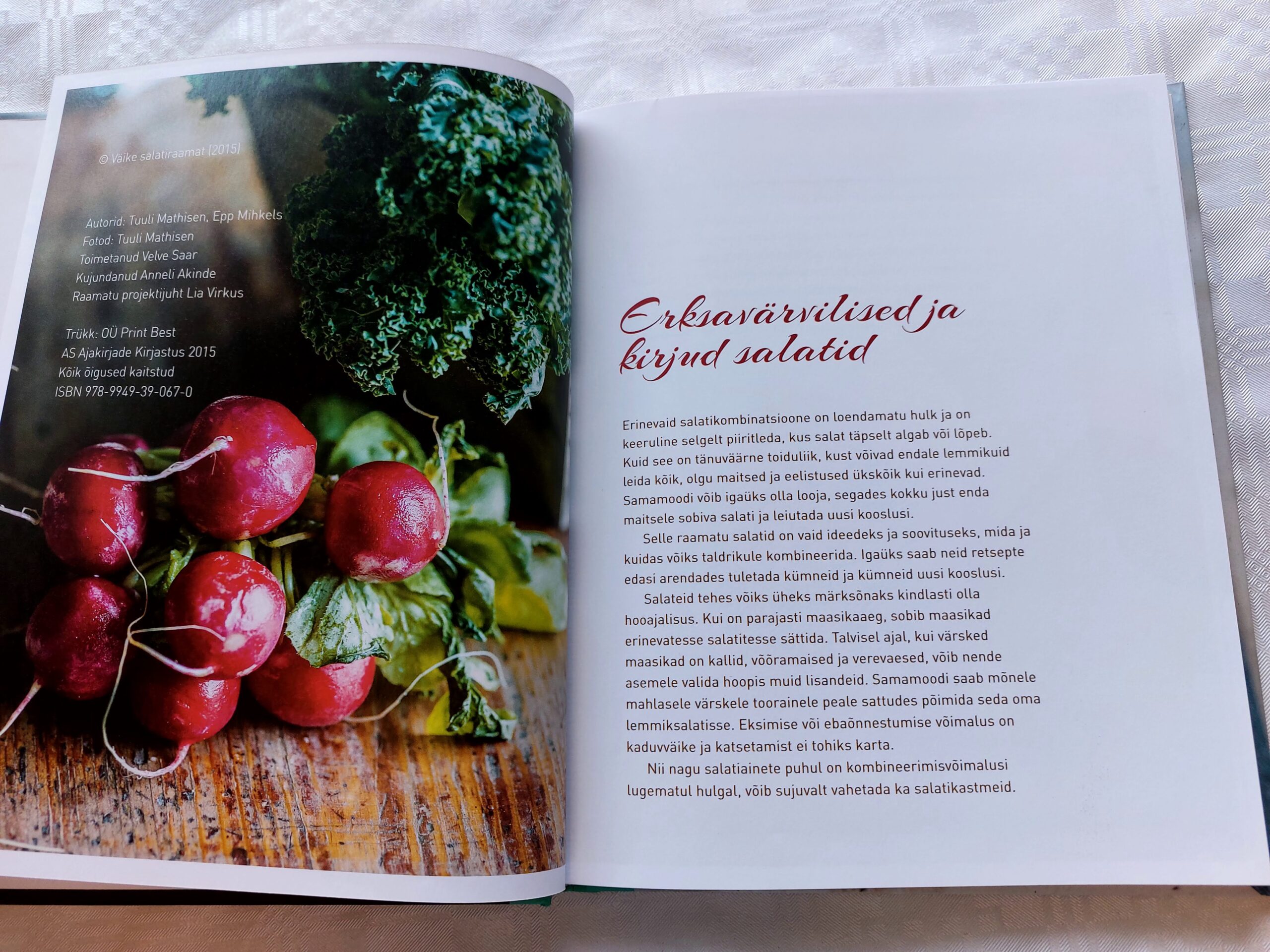 Väike salatiraamat. Tuuli Mathisen, Epp Mihkels. 2015 - Raamaturinglus ...